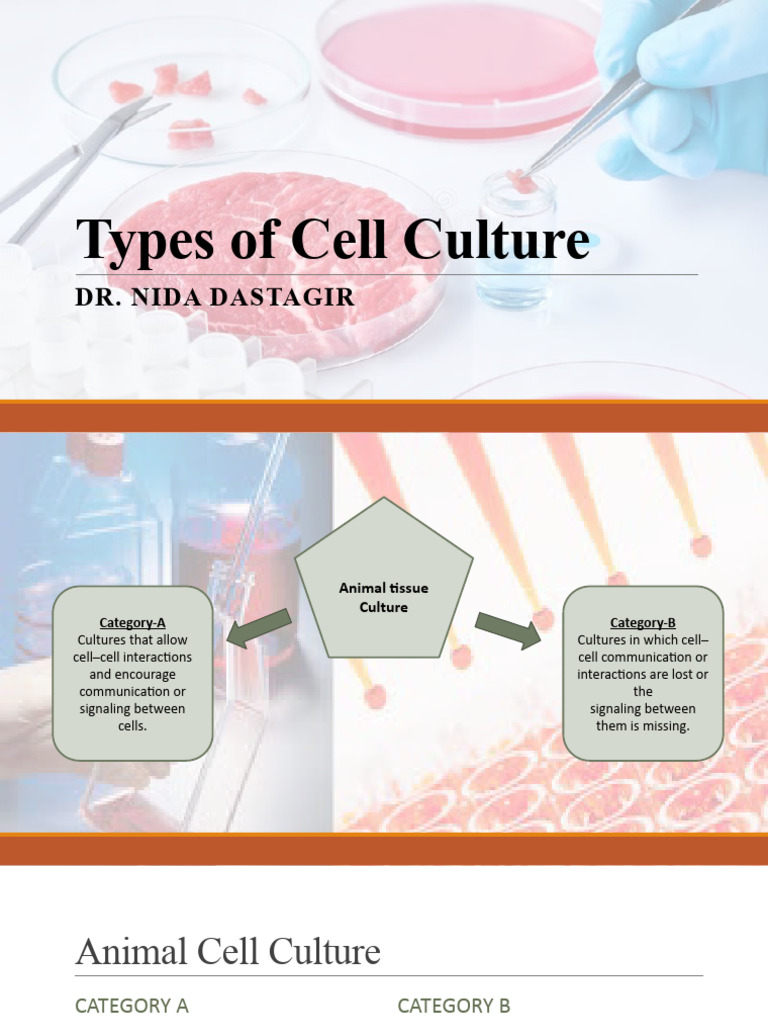 6 Types of Cell Culture-2024 | PDF | Cell Potency | Stem Cell