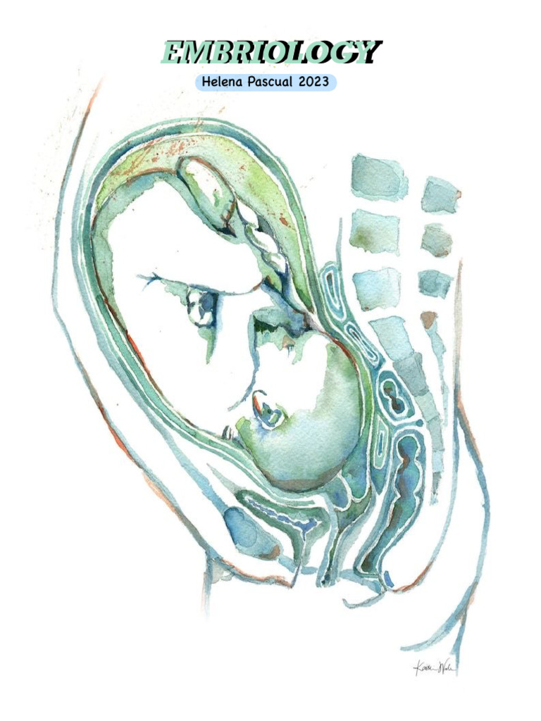 EMBRIOLOGY | PDF | Meiosis | Developmental Biology