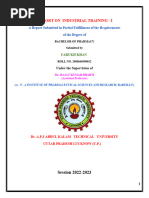 The Functional Mobility Scale Version 2 PDF | PDF | Wellness | Medical