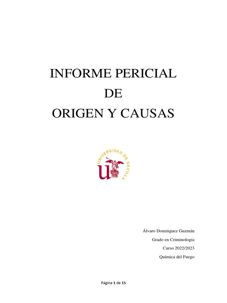 Informe pericial de incendio en vivienda | PDF | Testigo experto