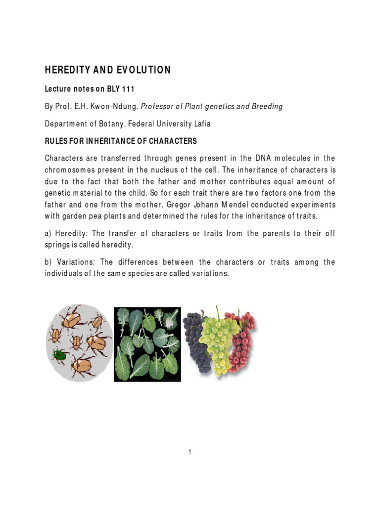 Bly 111 Heredity | PDF | Heredity | Genetic Diversity