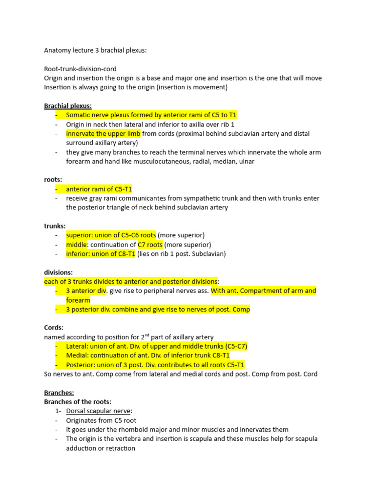 Anatomy 3 Upper Limbs | PDF | Arm | Anatomical Terms Of Motion