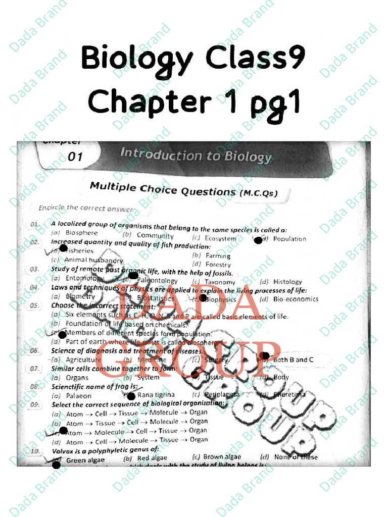 The Grammar Tree (Second Edition) TG (18 | PDF