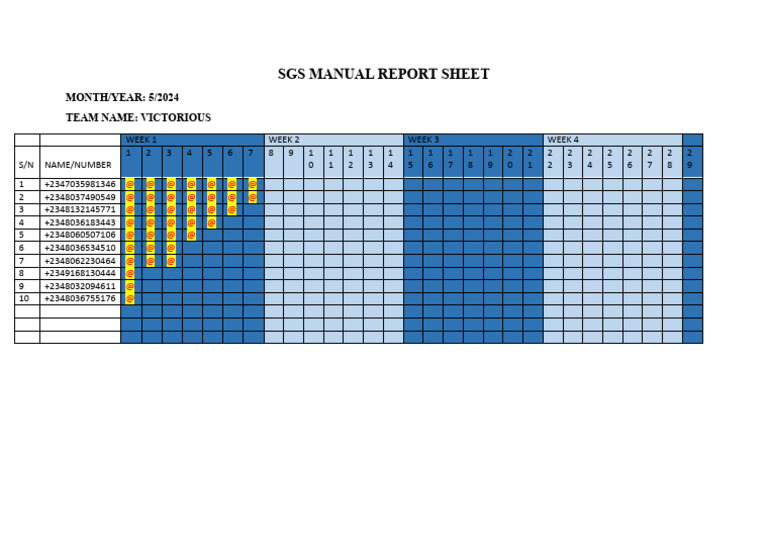 Sgs Manual Report Sheet | PDF
