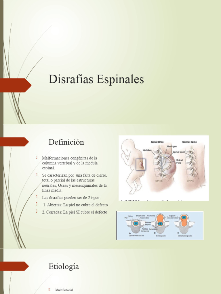 Presentación 6 | PDF | Enfermedades y trastornos | Especialidades Medicas
