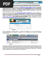 ConsultaSIAP ManualdeUsuario | PDF | Archivo de computadora | Informática