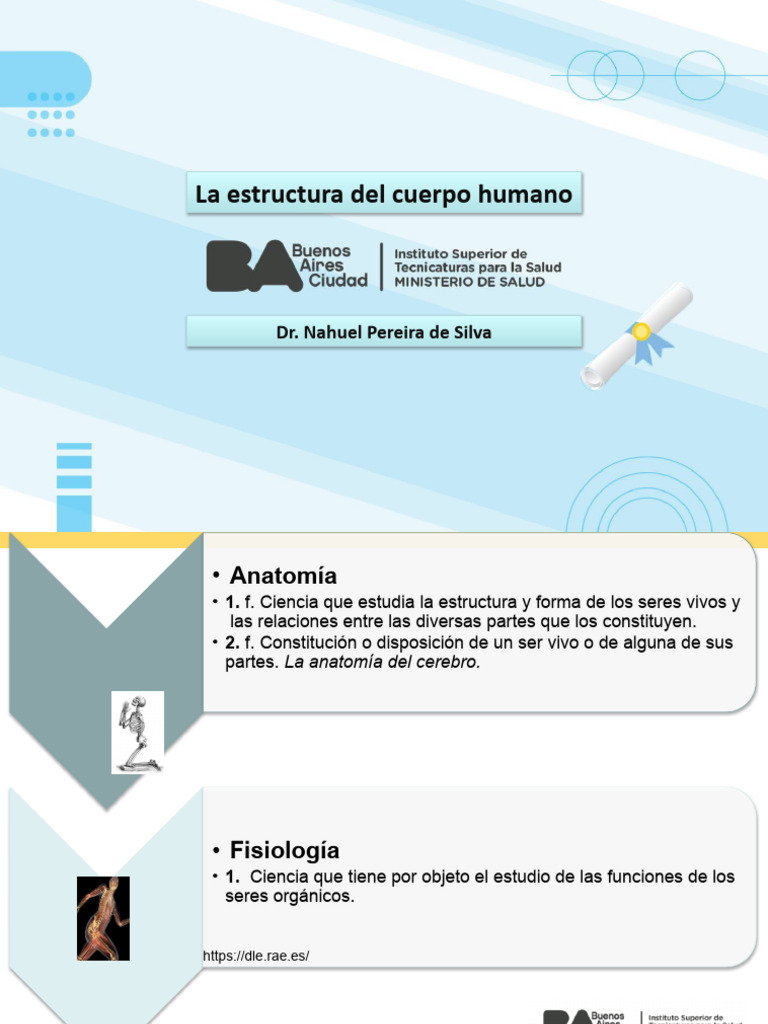 La Estructura Del Cuerpo Humano Pdf Biología Celular Cuerpo Humano