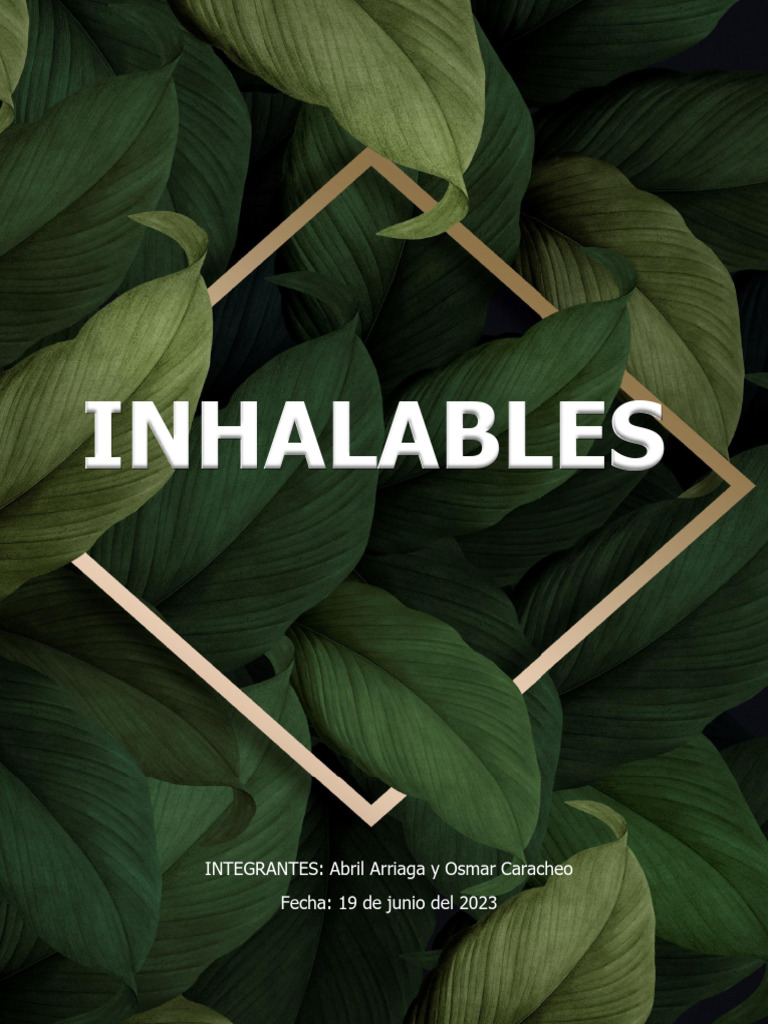 Inhalables | PDF | El embarazo | Drogas