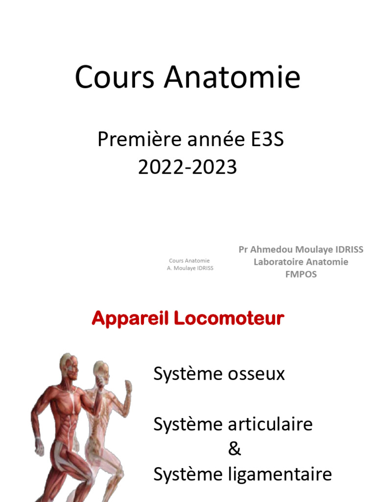Anatomie de l'Appareil Locomoteur | PDF | Articulation (anatomie) | Os
