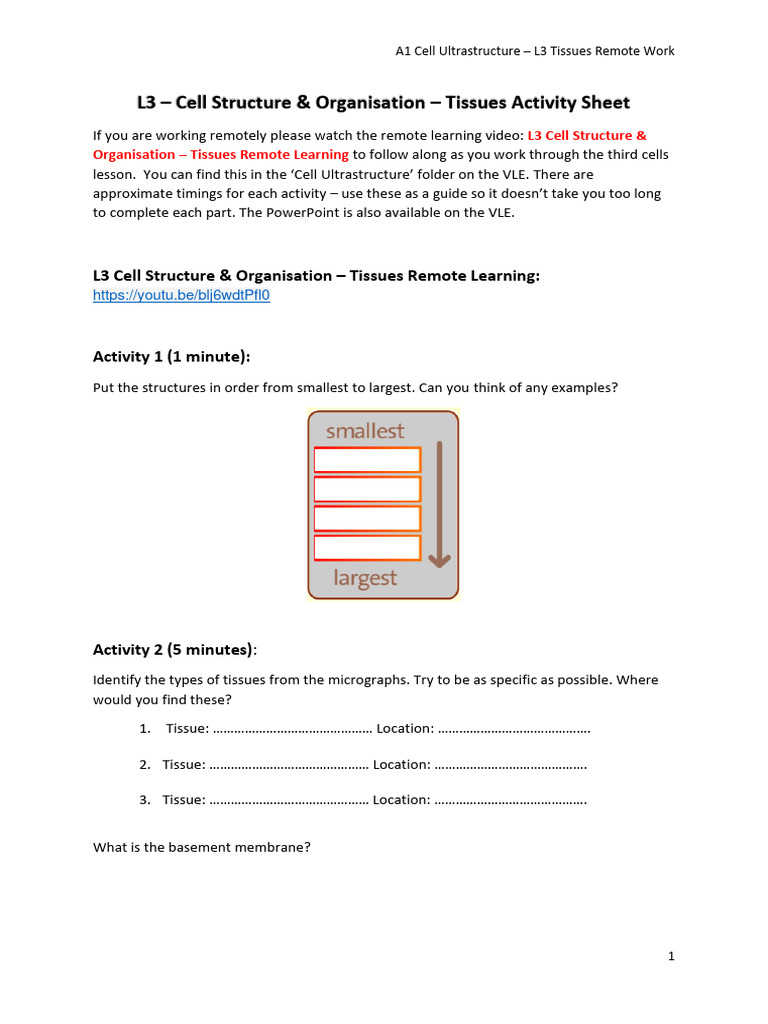 Cell Ultrastructure & Tissues Guide | PDF | Epithelium | Tissue (Biology)