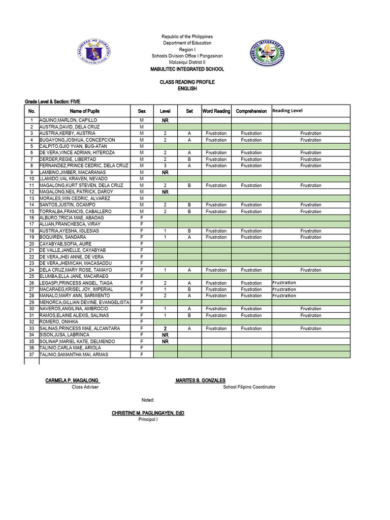Class Reading Profile 4 Matiyaga | PDF