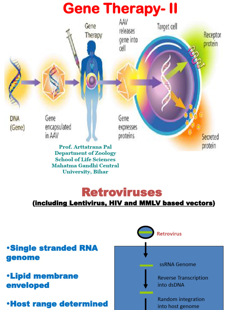 Gene Therapy2 | PDF | Retrovirus | Viral Vector