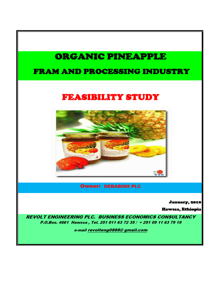 Debabish - Fesibility Study Fainal | PDF | Pineapple | Agriculture