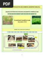 Temo Letlotlo Guidelines | PDF | Loans | Agriculture