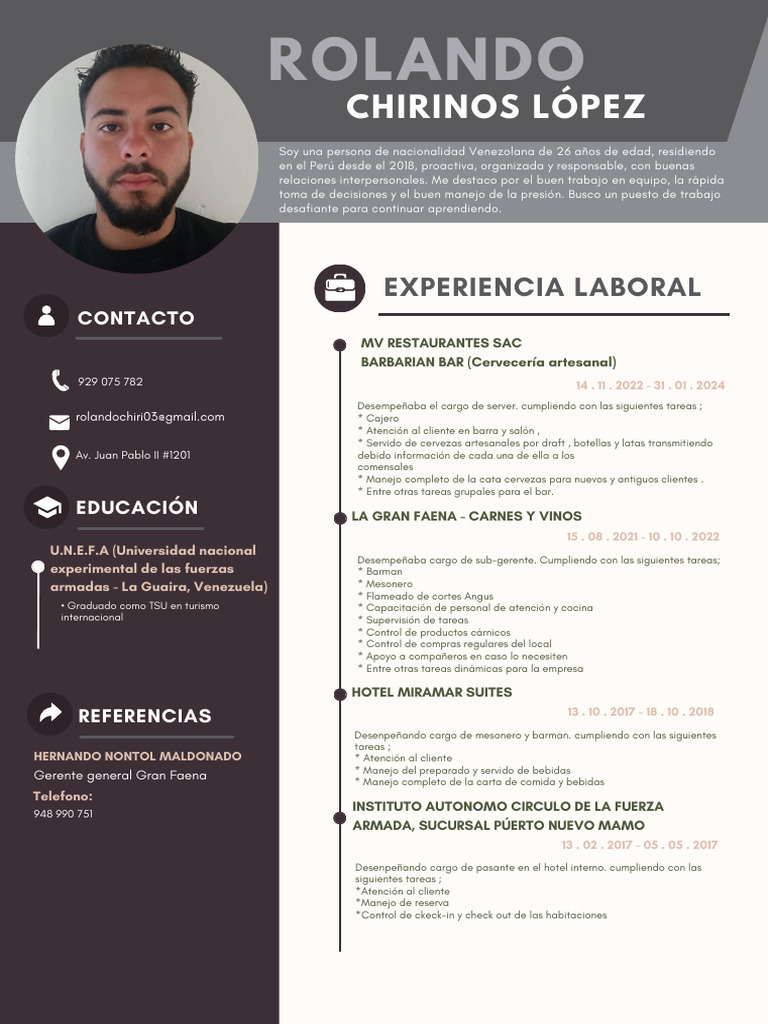Modelo de CV | PDF