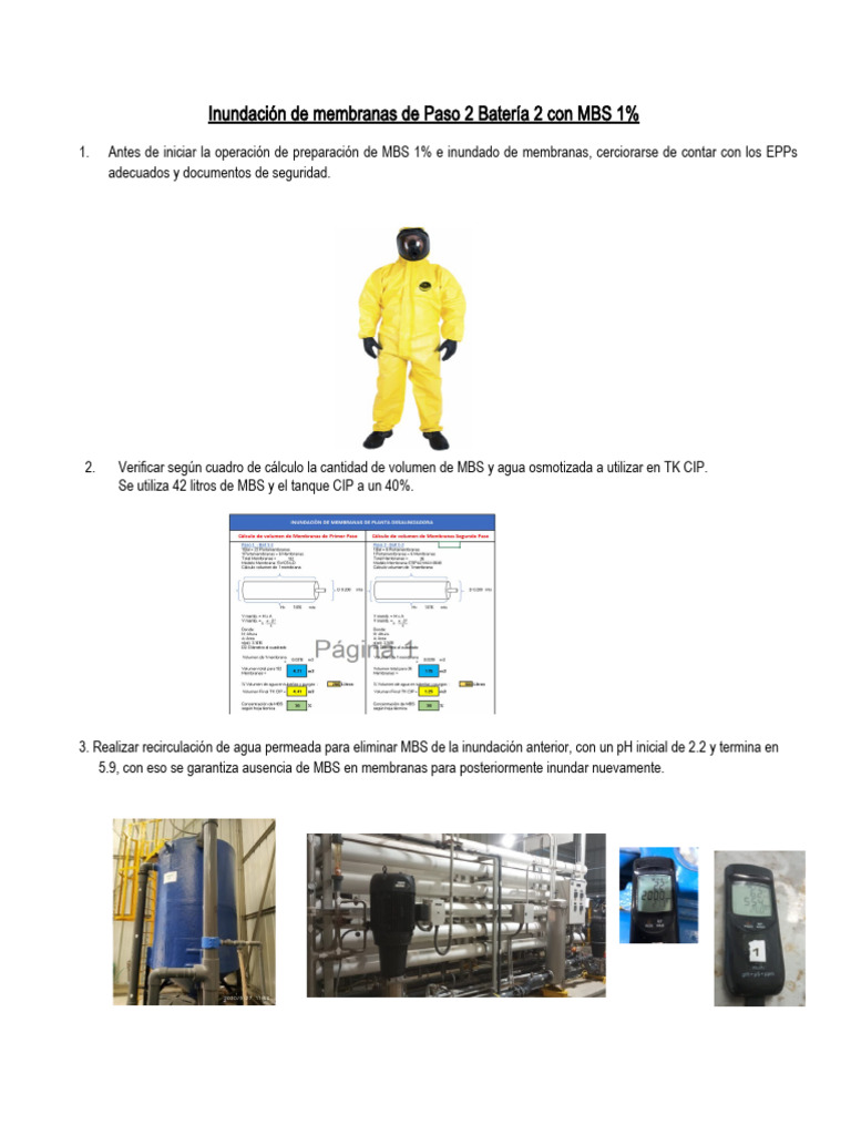 Inundación de Membranas de Paso 2 Bat 2 Con MBS 1% | PDF | Ciencia y matemáticas | Tecnología