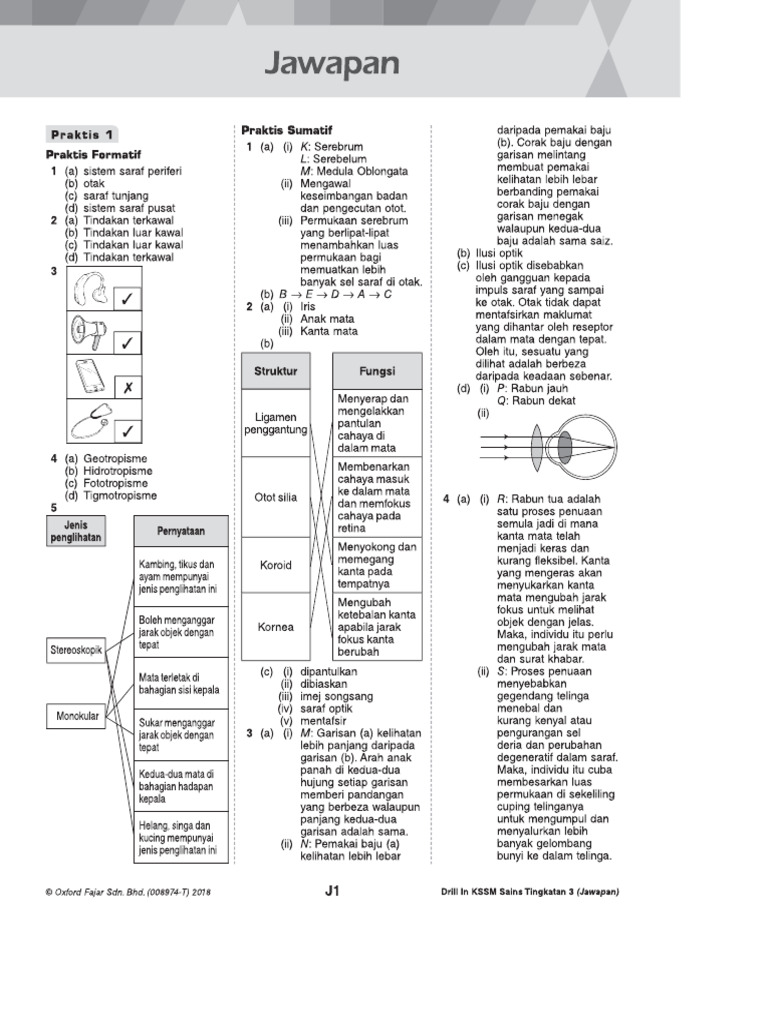 Skema Sains t3 Bab 1-5 | PDF