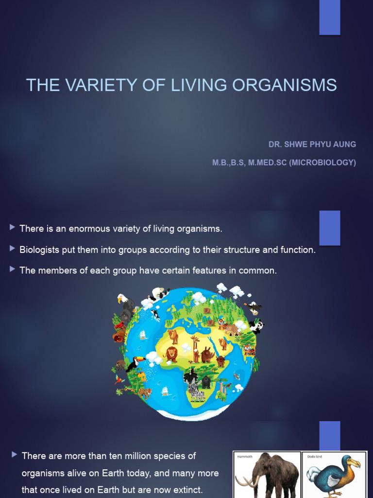 Variety of Living Organism | PDF | Bacteria | Cell (Biology)
