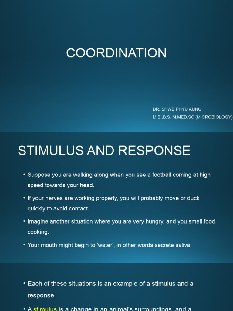 Coordination | PDF | Neuron | Axon