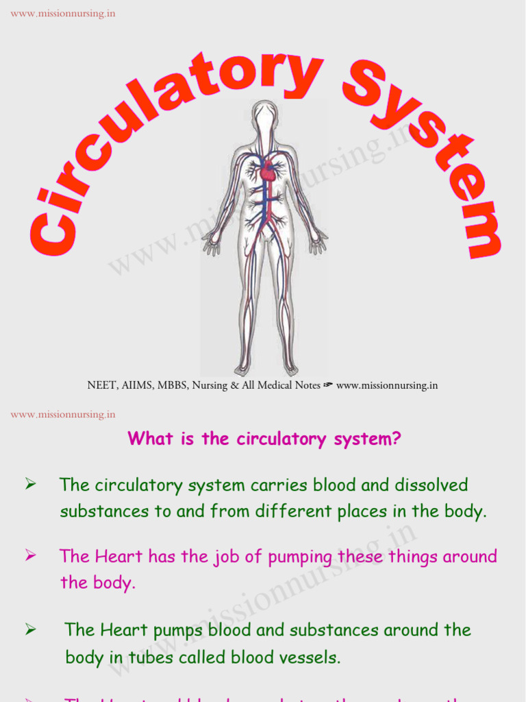 Circulatory System Download Free Pdf Heart Heart Valve