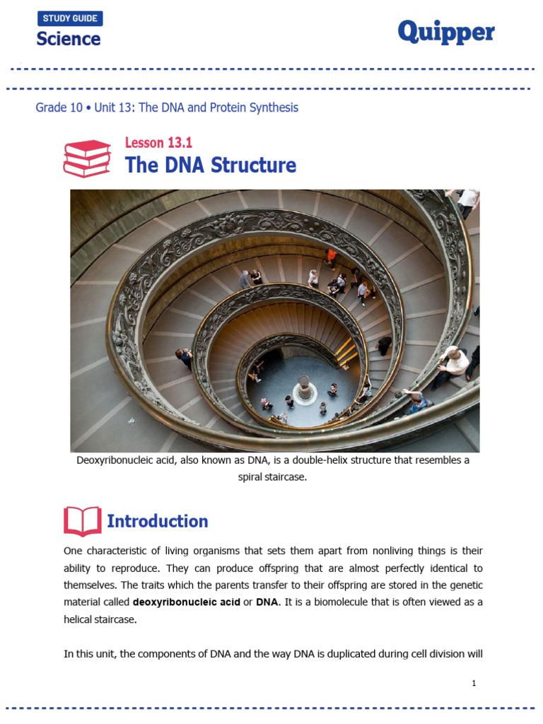 The-DNA-Structure | PDF | Dna | Rna