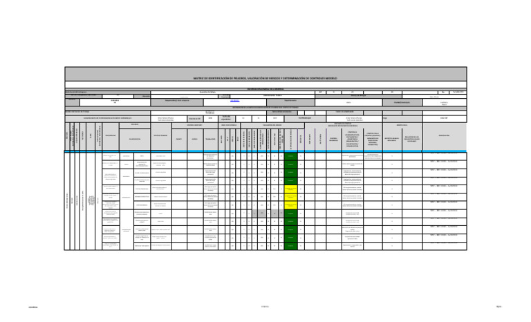 Anexo - 1 - Matriz - de - Identificacion - de - Ries 2025 | PDF | Virus de la influenza A
