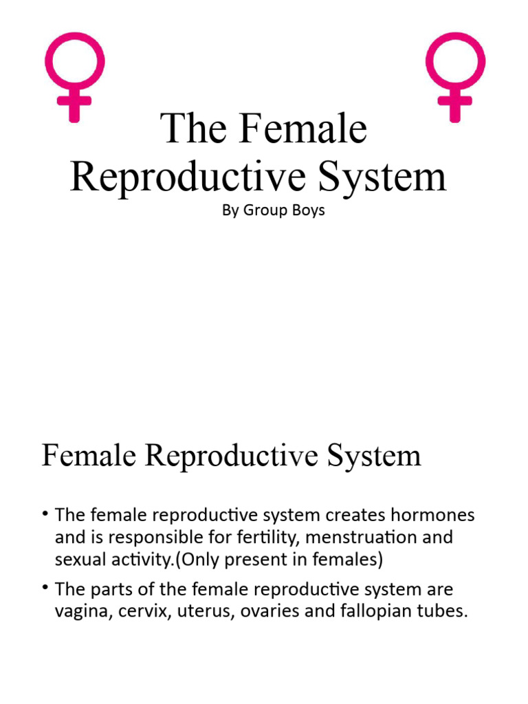 The Female Repr WPS Office - 011337 | PDF | Menstrual Cycle ...