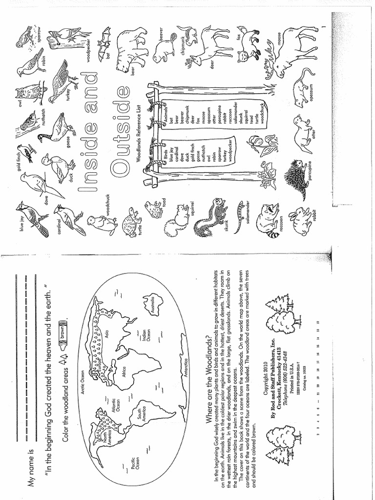 Inside and Outside | PDF