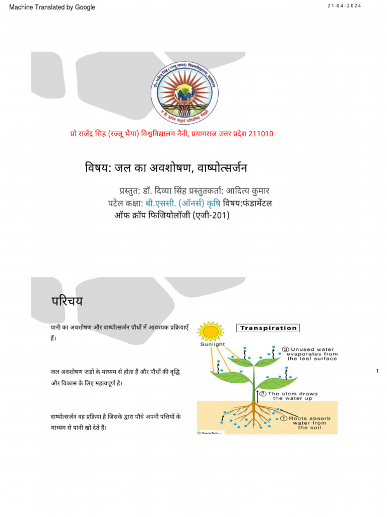 Absorption of Water, Transpiration Final | PDF