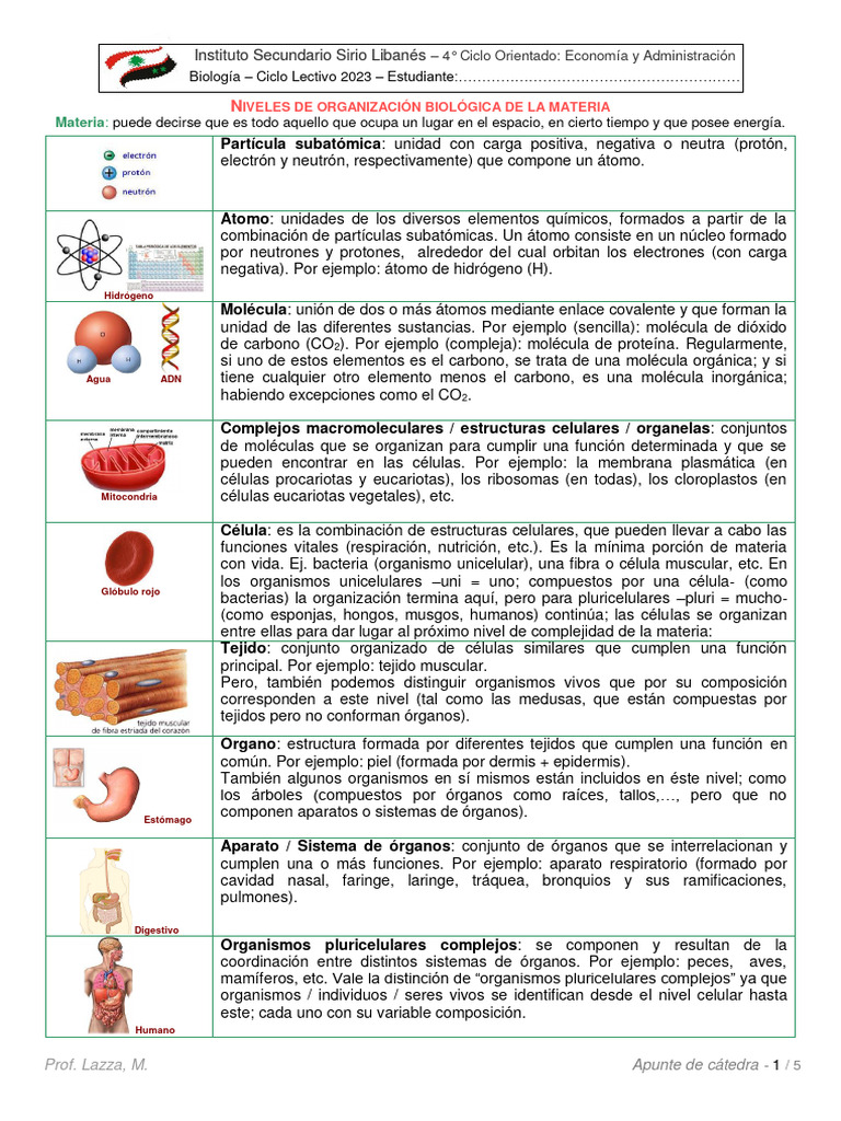 Apunte-TP1 - Bio - 4° SirioL - 2023 | PDF | Organismos | Moléculas