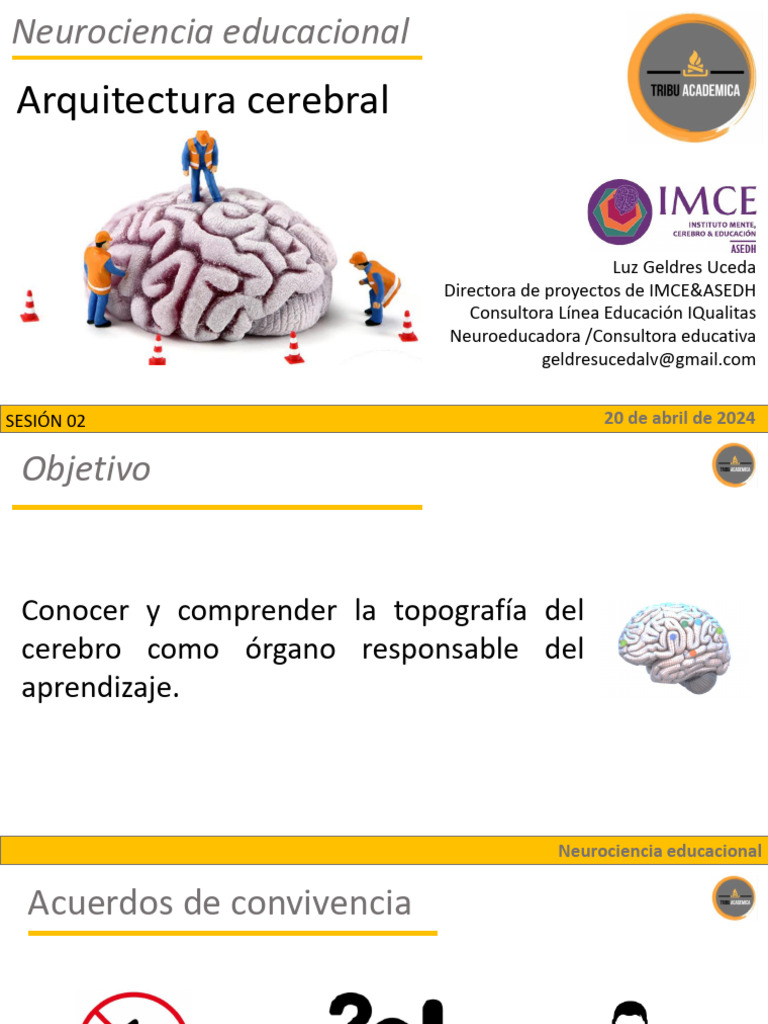 Sesion 02 Arquitectura Cerebral | PDF | Neurociencia | Cerebro