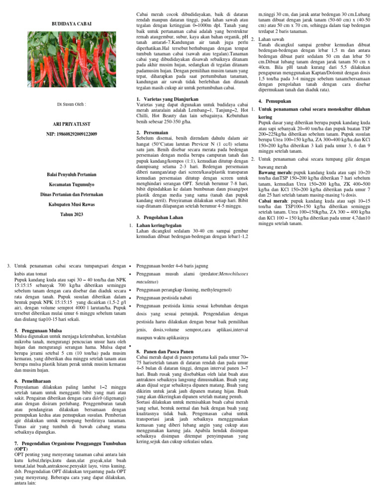 Panduan Budidaya Cabai Merah 2023 | PDF | Griya & Taman | Sains & Matematika