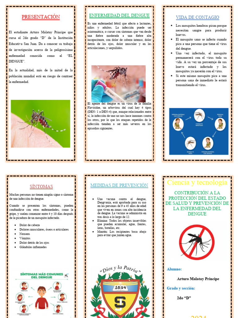 Triptico El Dengue | PDF | Virus | Infección