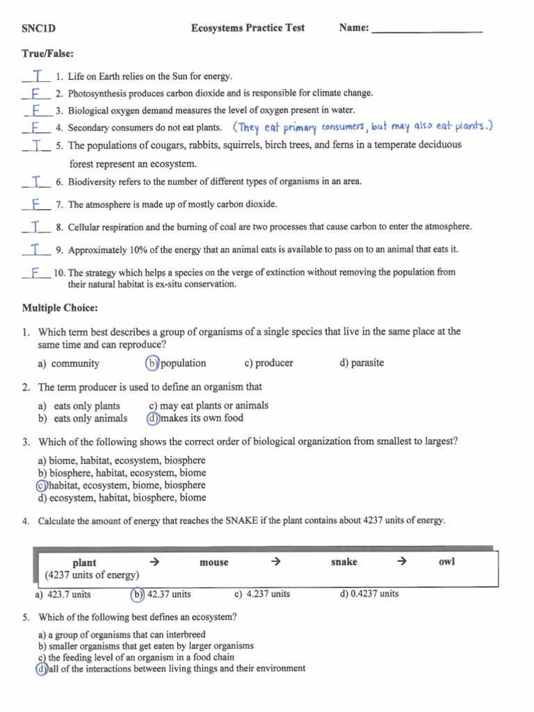 Ecosystems Practice Test Solutions | PDF