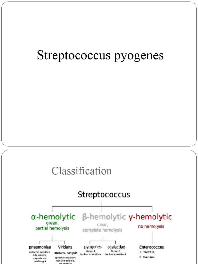 Streptococcus Pyogenes | Download Free PDF | Streptococcus | Infection