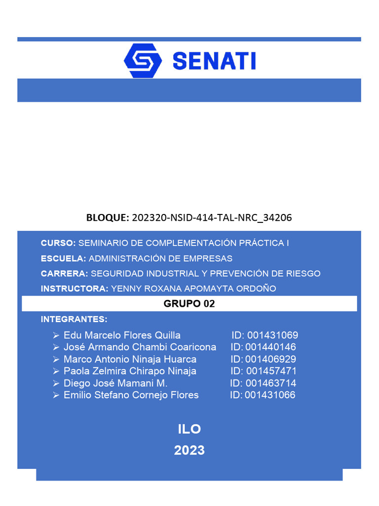 Informe de Formato XDDD | PDF | Factores humanos y ergonomía