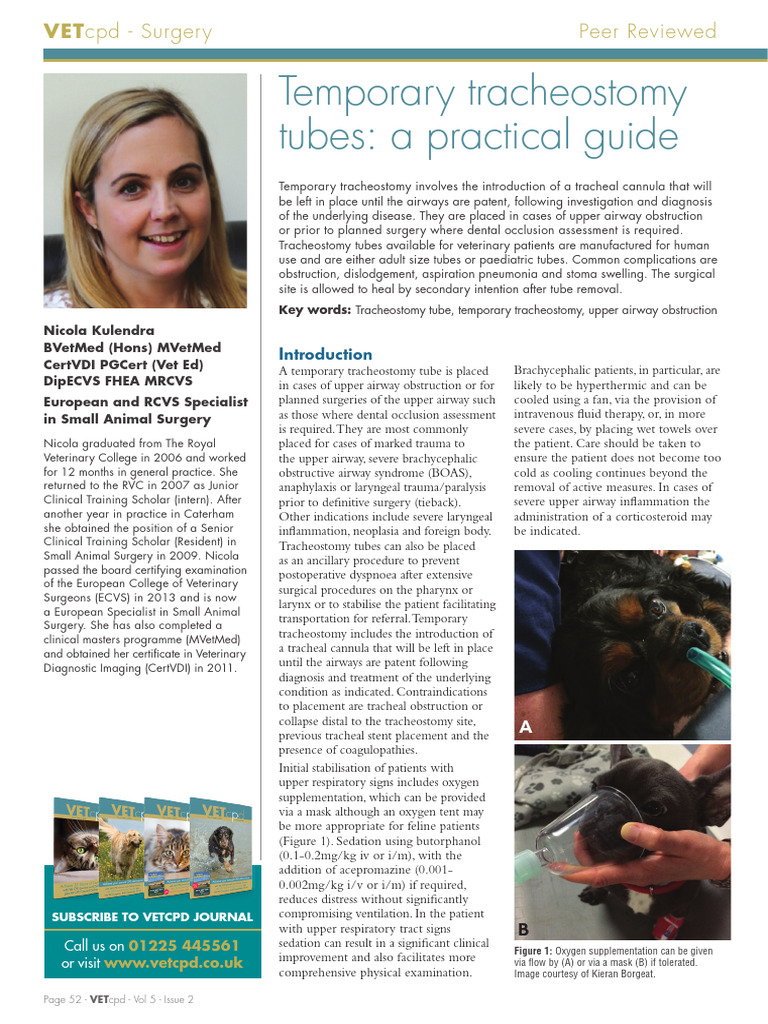Temporary Tracheostomy in Veterinary Care | PDF | Larynx | Surgery