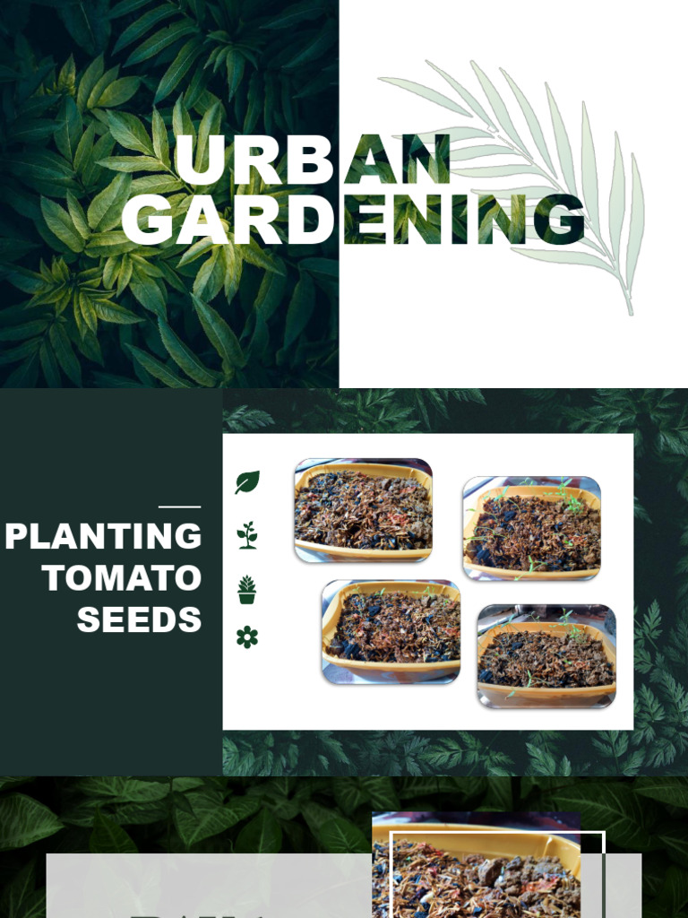 Week 1 - Urban Gardening | PDF | Seed | Urban Agriculture