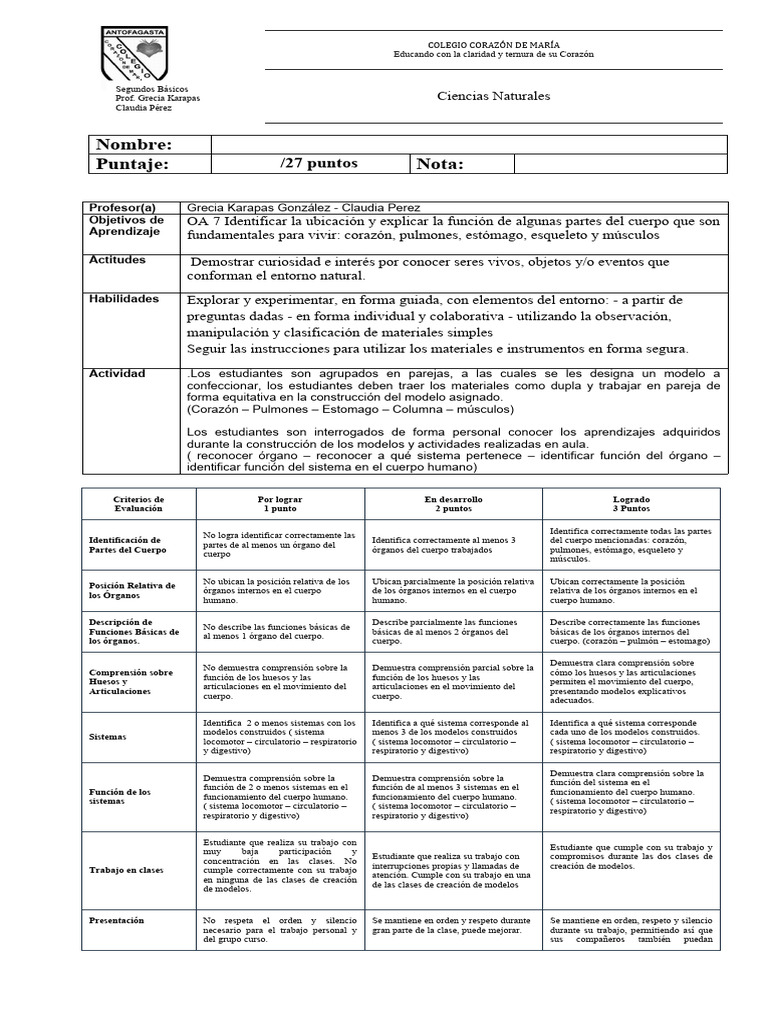 Rubrica Ciencias Final | PDF | Sistema musculoesquelético humano ...