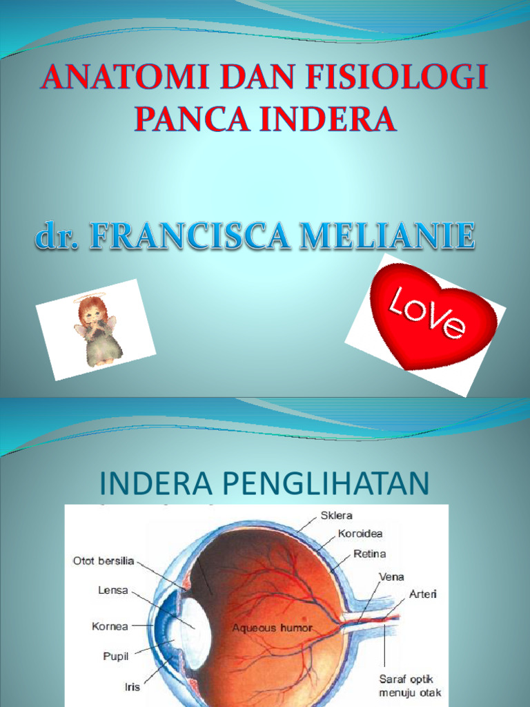 Anatomi Dan Fisiologi Panca Indera | PDF | Griya & Taman | Kesehatan Holistik