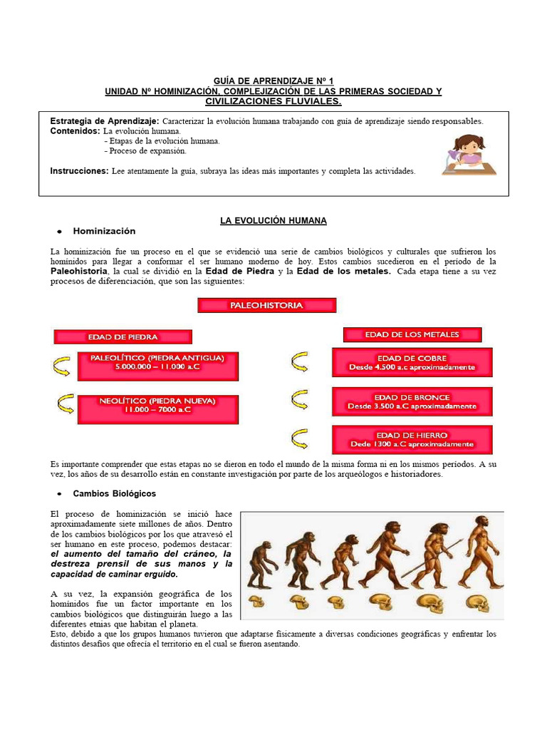 Guía 1 Historia Octavo | PDF | Evolución humana | Homo