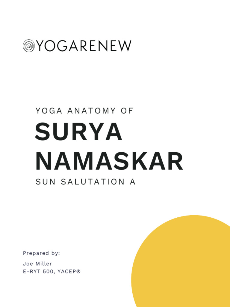 Anatomy of Sun Salutations | PDF | Anatomical Terms Of Motion | Pelvis