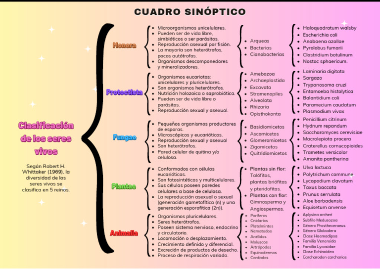 Cuadro Sinóptico-Clasificación de Los Seres Vivos (29.7 × 21 CM) | PDF | Plantas | Biología