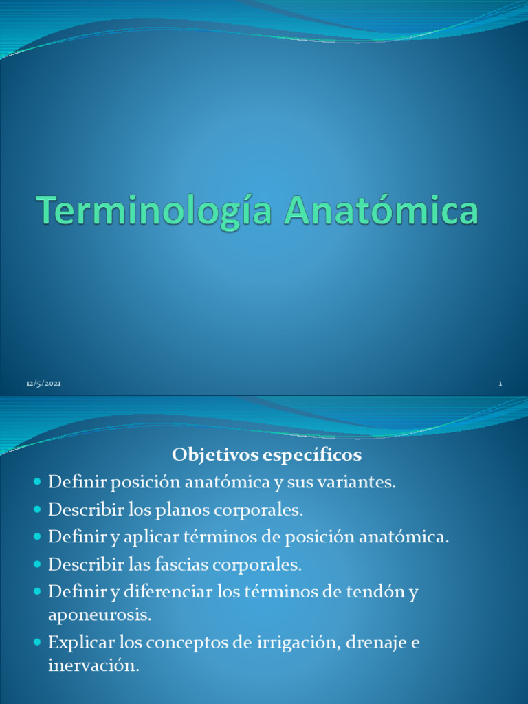 Terminologia Anatomica | Descargar gratis PDF | Términos anatómicos de ...