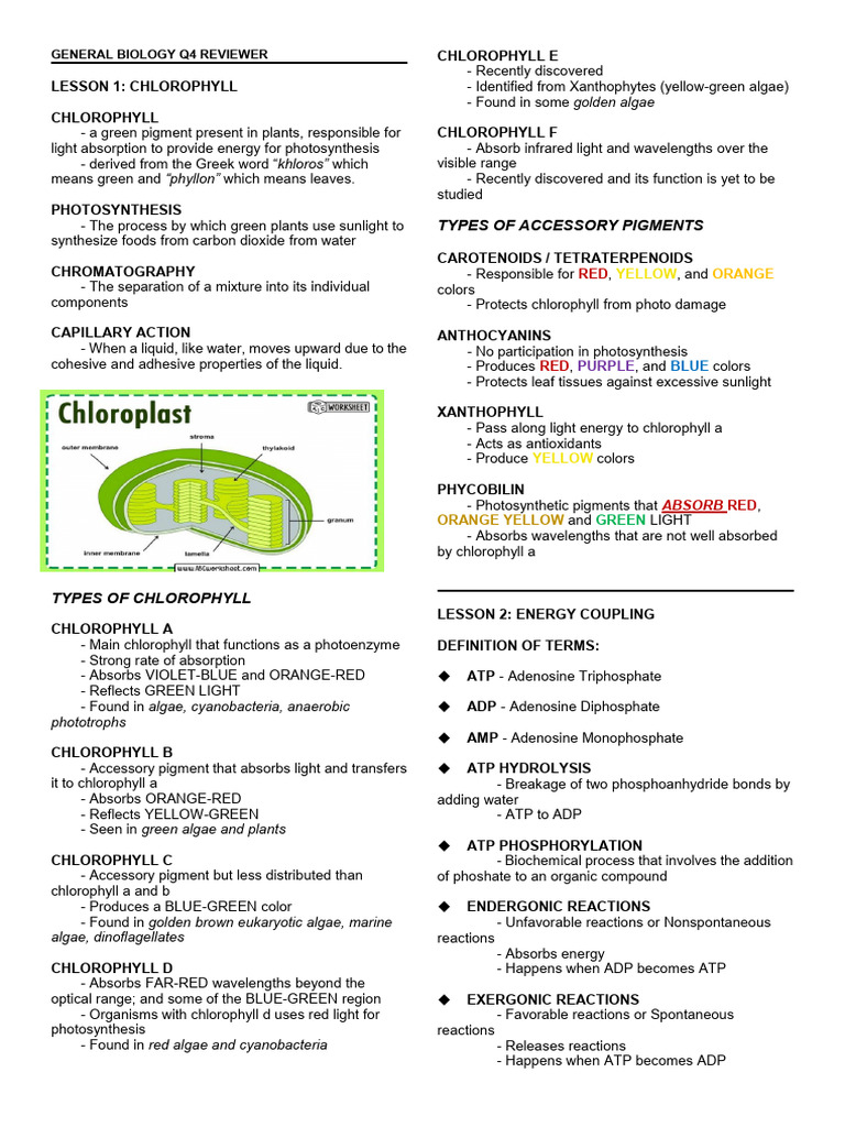 General Biology q4 Reviewer | PDF | Photosynthesis | Diet & Nutrition