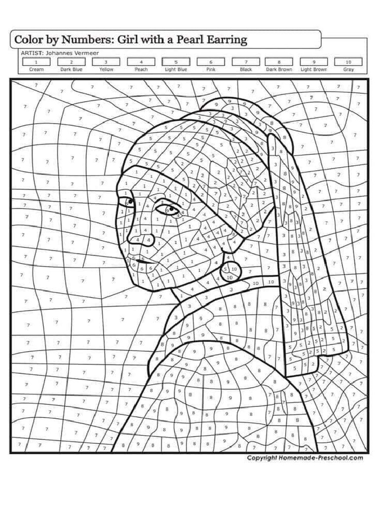 Girl With A Pearl Earring (Johannes Vermeer) | PDF