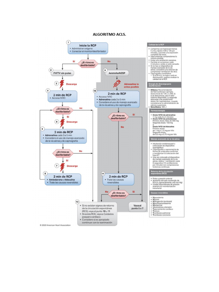 Algoritmos Acls 2020 | PDF | Negocios | Ciencia y matemáticas