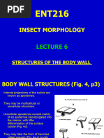 Moisture Associated Skin Damage MASD Pathway Aug 22 | PDF | Dermatitis ...