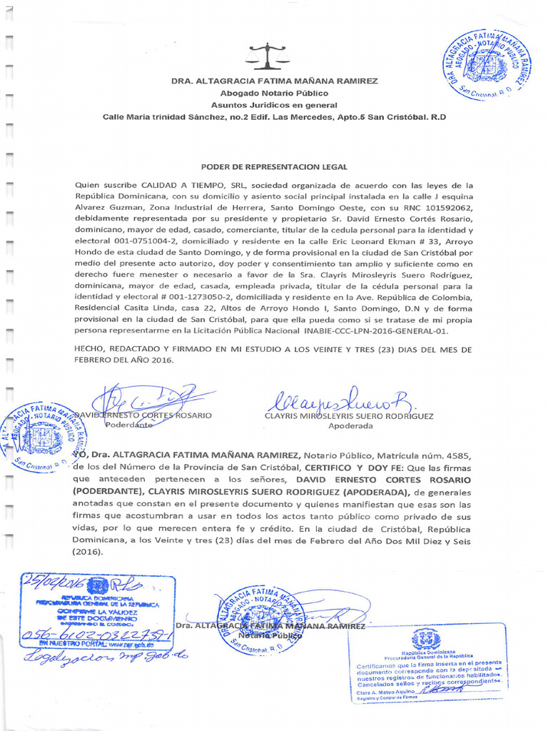 Poder de Representacion | PDF