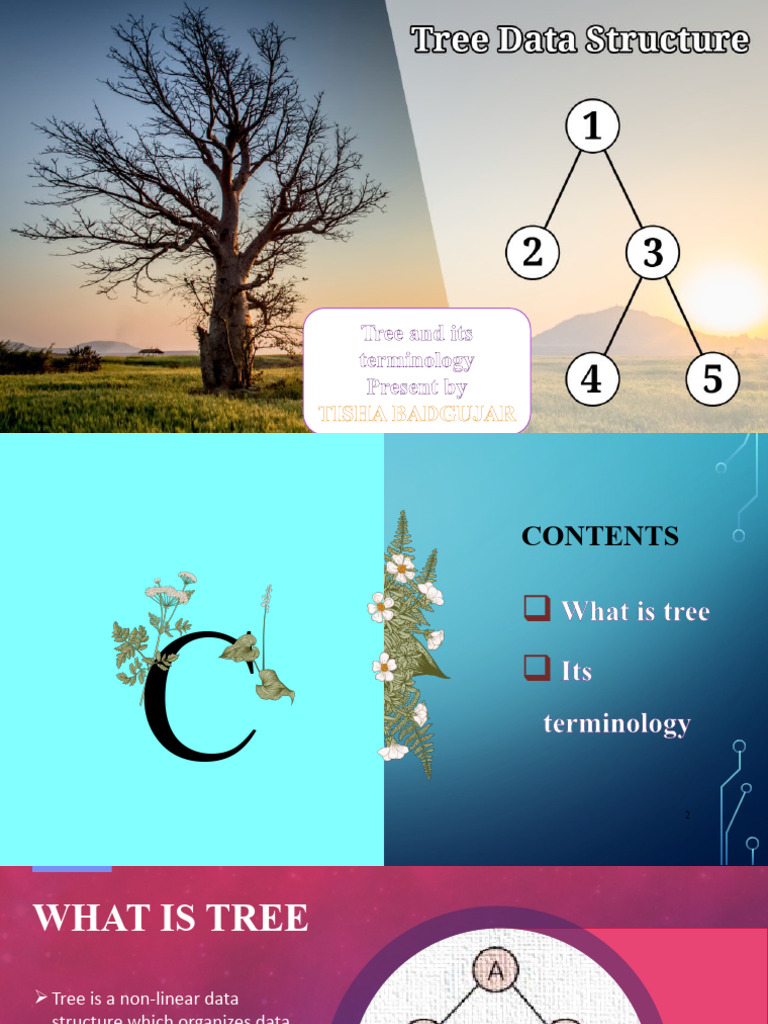Tree and Its Terminology | Download Free PDF | Algorithms And Data Structures